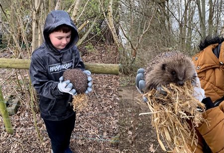 Primary school pupils care for rescued hedgehogs - Bradley Stoke Journal